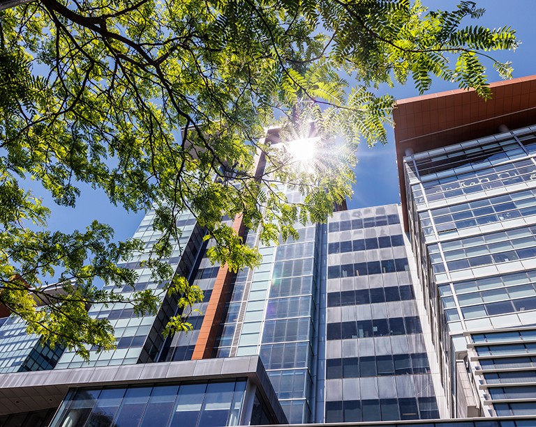 Library | Student Hub - Concordia University